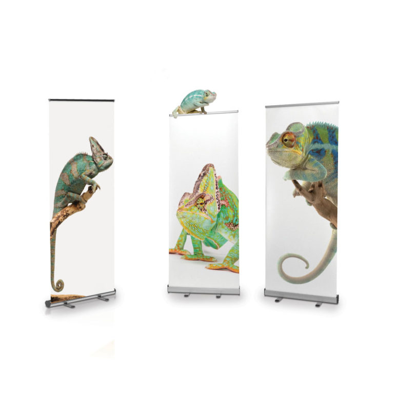 Standard Popup Banners | PNG Digital